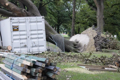 Dan Neely WEMO Photograph 25 | Record | DigitalNZ