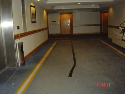 Terry Binding WEMO Photograph 22 | Record | DigitalNZ