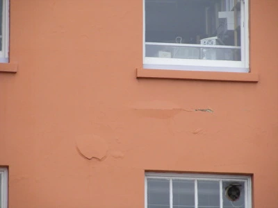 Kim Wright WEMO Photograph 033 | Record | DigitalNZ