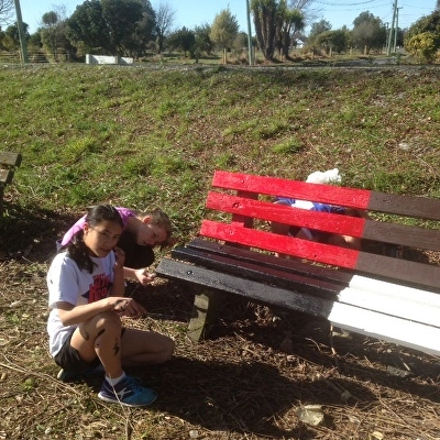 All Right? AWA Trails Chisnallwood Intermediate Photograph 11 | Record ...