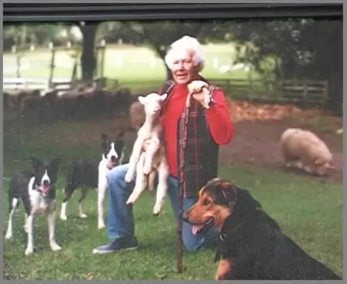 Interview with Ivan Bowen, 2001 | Record | DigitalNZ