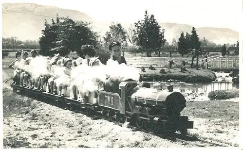 Photograph of John Smale driving Toot-n-Whistle with passengers, 1962 ...
