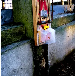 Vertically set modified Victor professional rat trap. | Record | DigitalNZ