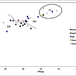 Human bone collagen δ15N and δ13C values from Wairau Bar coded with burial position information ...