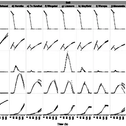 Gas kinetics profile of IR and NZ soils under oxic and anoxic ...