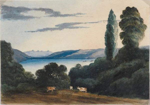 Port Nicholson from the Karori Road about two miles from Wellington ...