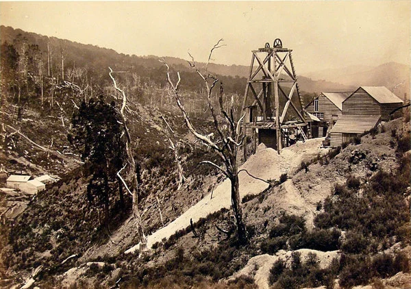 Coromandel Gold Field. | Record | DigitalNZ