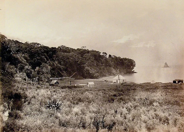 Kotanui, Monsieur Direy's House, Whangaparaoa. | Record | DigitalNZ