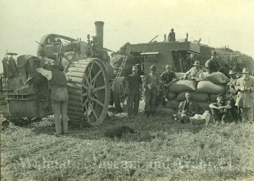 Threshing | Record | DigitalNZ