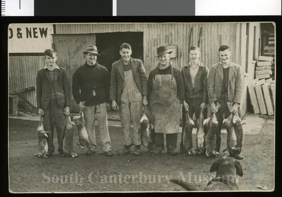 [Candy's Rabbit Factory,Saltwater Creek, Timaru] | Record | DigitalNZ