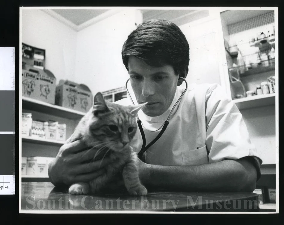 Veterinarian Adrian Campbell with 'Thomas' | Record | DigitalNZ