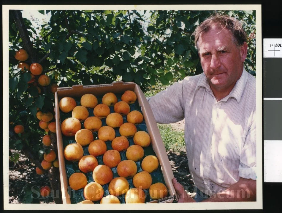 Bruce Slater, Waitawa Orchards | Record | DigitalNZ
