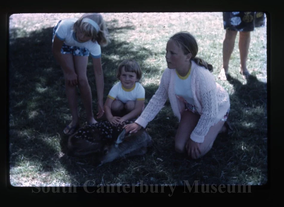 Hadlow Game Park, Timaru | Record | DigitalNZ