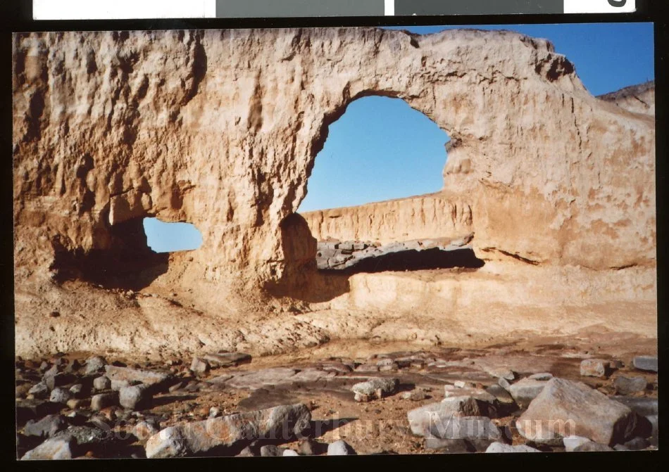 Clay cliffs at Dashing Rocks, Timaru, 2004 | Record | DigitalNZ
