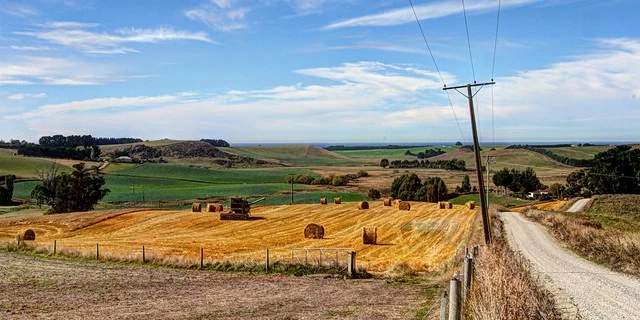 Hay making, Otepopo, Otago, New Zealand | Record | DigitalNZ