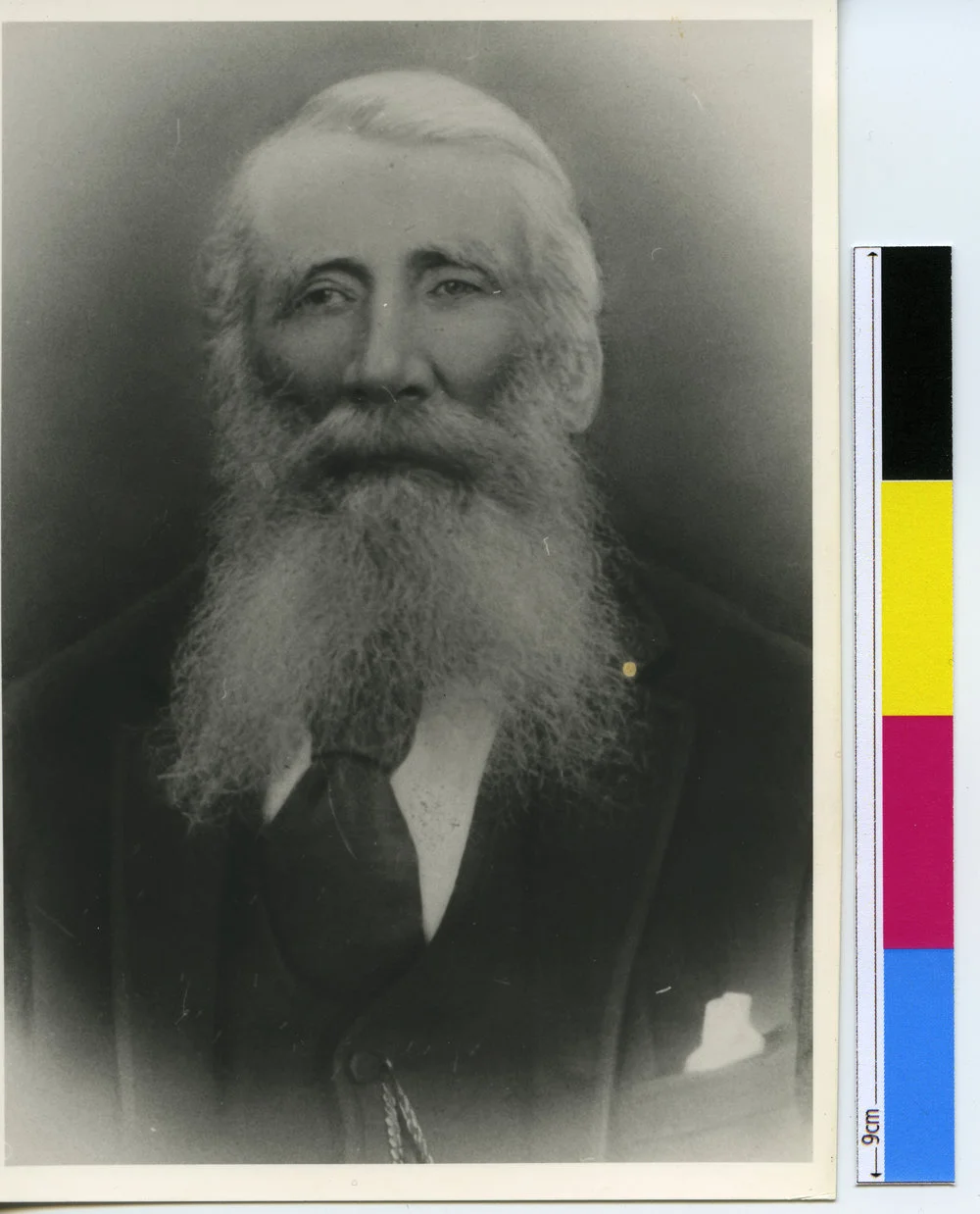 Portrait of Louis Bidois | Record | DigitalNZ