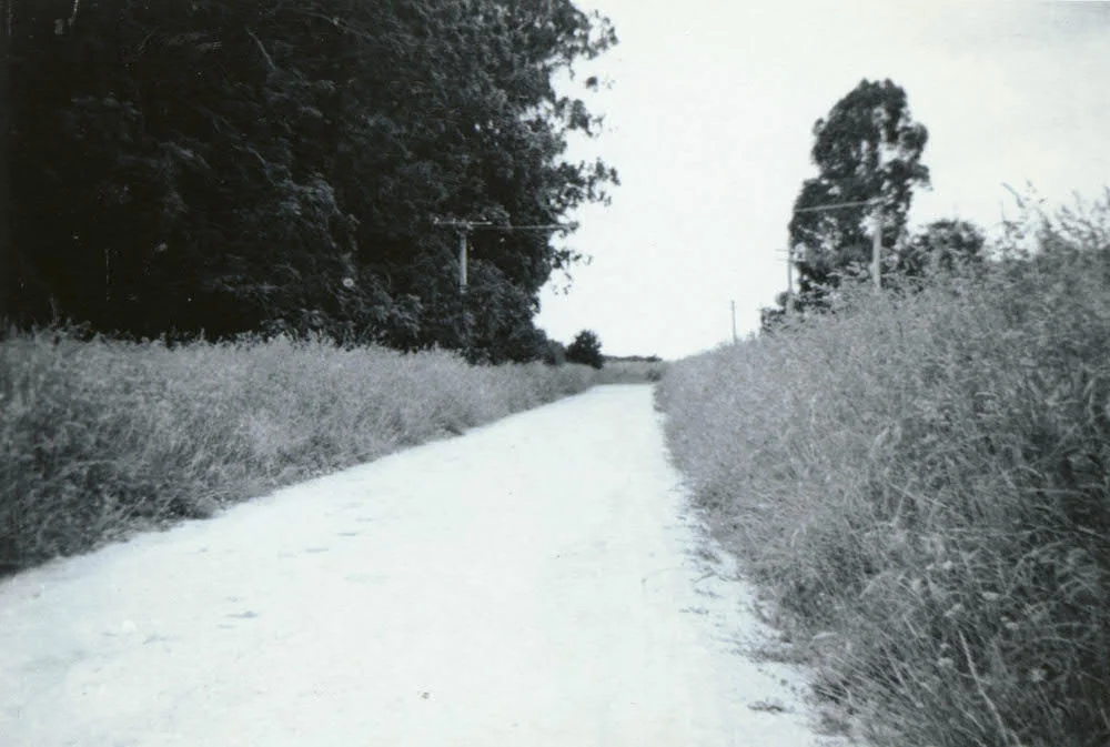 Levers road 1094 or 1941 | Record | DigitalNZ