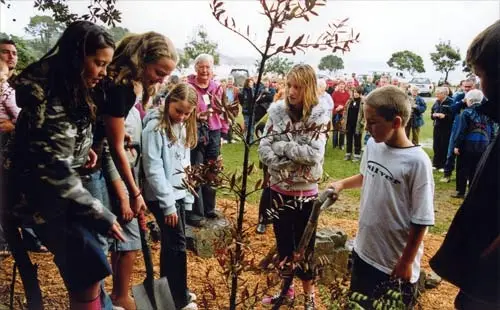 Kauri 2000 | Record | DigitalNZ