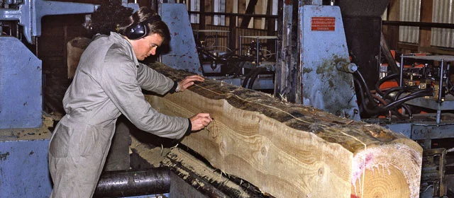 Forestry research | Record | DigitalNZ