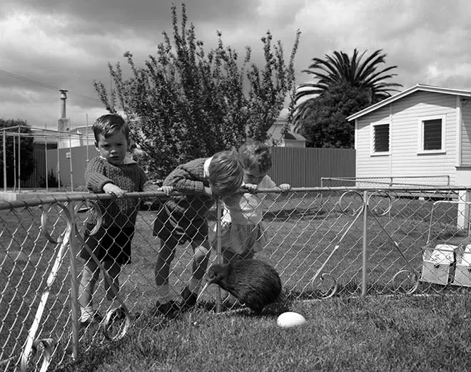 Kiwi and children | Record | DigitalNZ