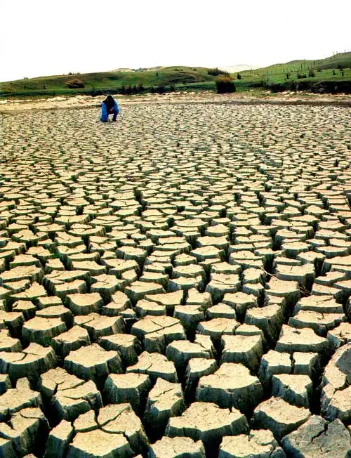 Dry pond, spring 2001 | Record | DigitalNZ