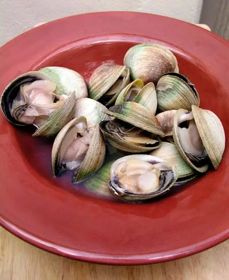 Tuangi | Record | DigitalNZ