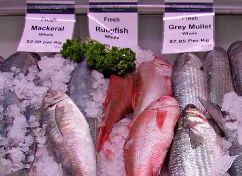 Rubyfish | Record | DigitalNZ