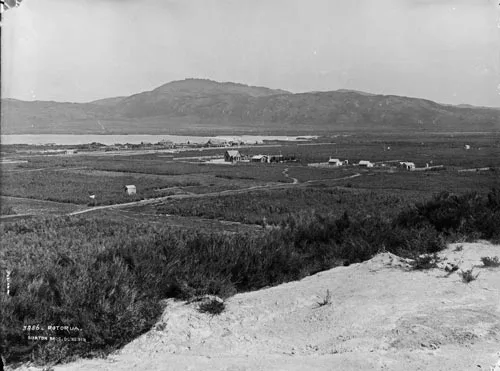 Rotorua from Pukeroa Hill, 1885 | Record | DigitalNZ