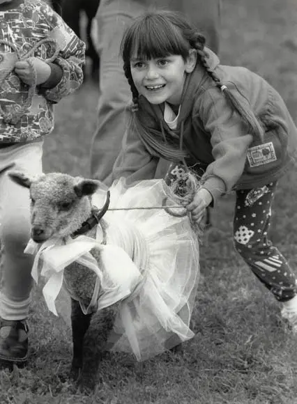 Best dressed lamb | Record | DigitalNZ