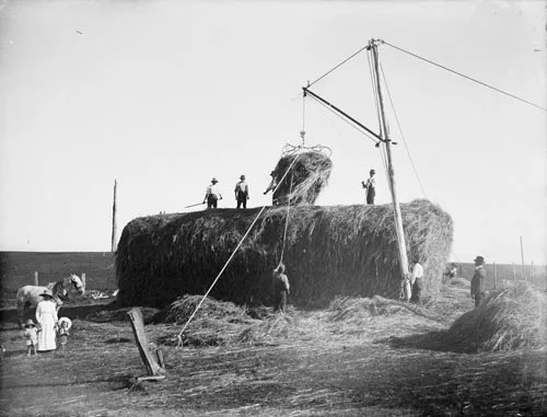 Manual hay grab | Record | DigitalNZ