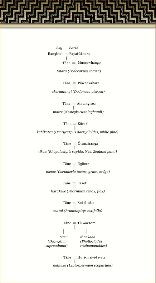 Whakapapa o ngā rākau | Record | DigitalNZ