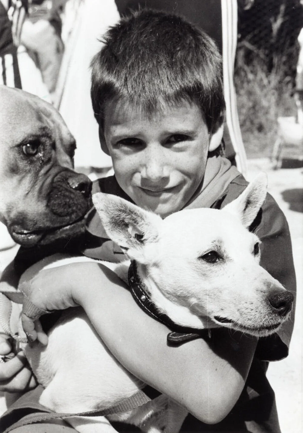 Blue Mountains Progressive Association fair; Robert Alexander, fox ...