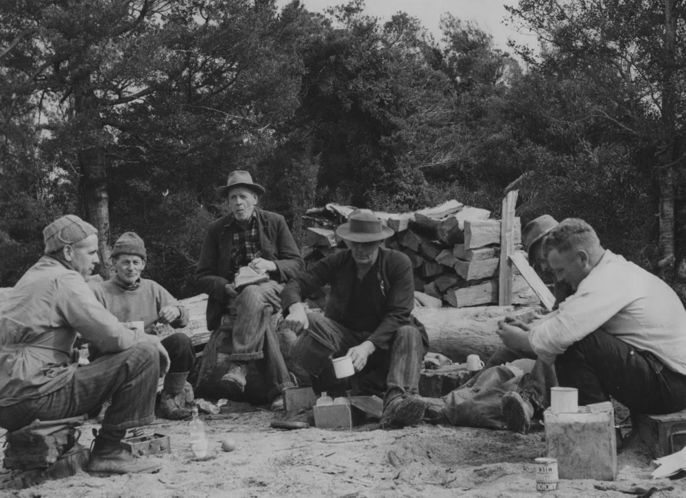 Timber industry; Mitchell Brothers sawmillers 4 | Record | DigitalNZ