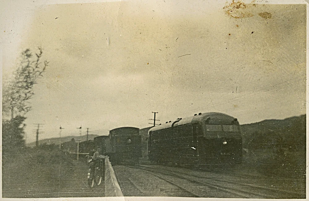 Wairarapa-class railcar Rm-10 'Arawa'; crossing southbound train at ...