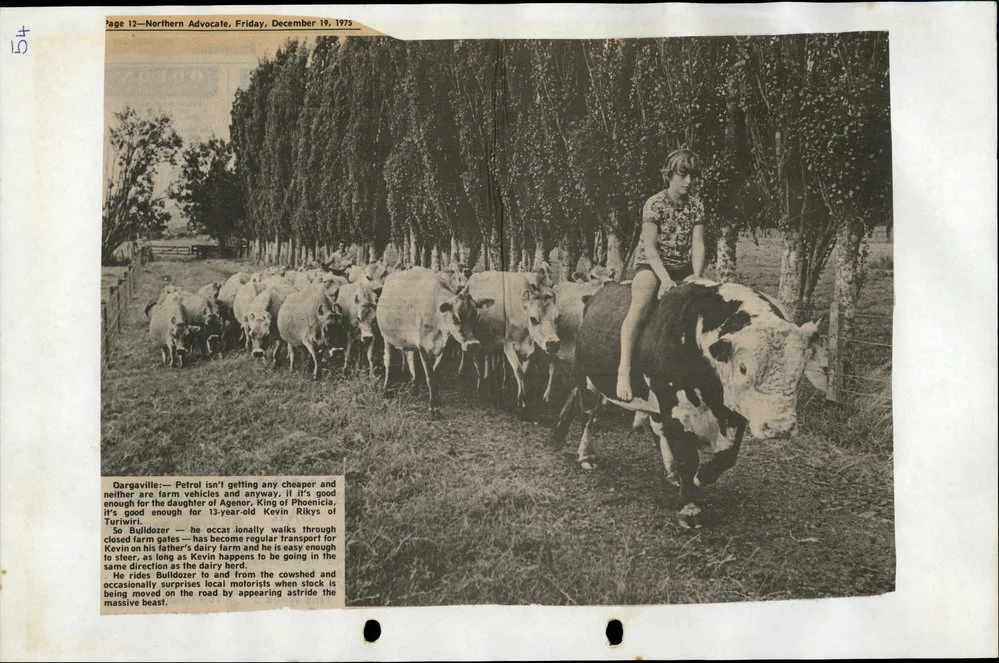 CN02 Page 54 | Record | DigitalNZ