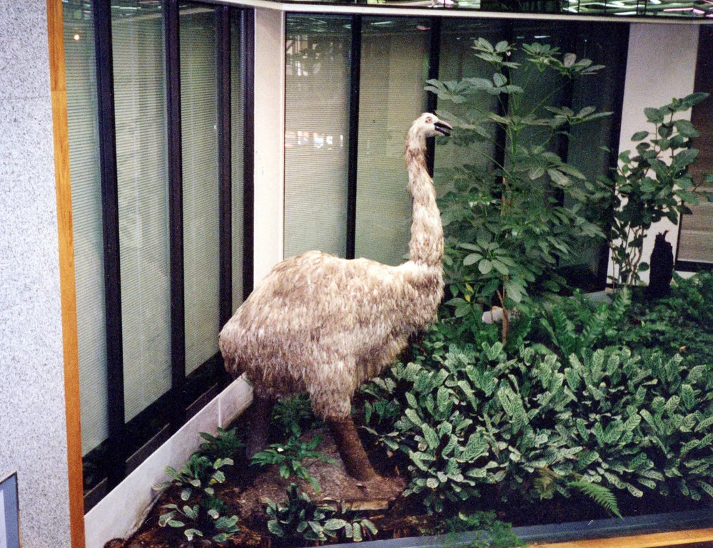 Moa, Dominion Farmers Institute building | Record | DigitalNZ