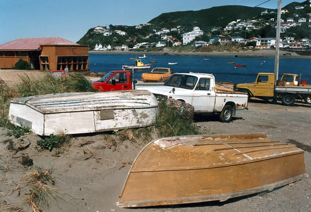 Island Bay | Record | DigitalNZ