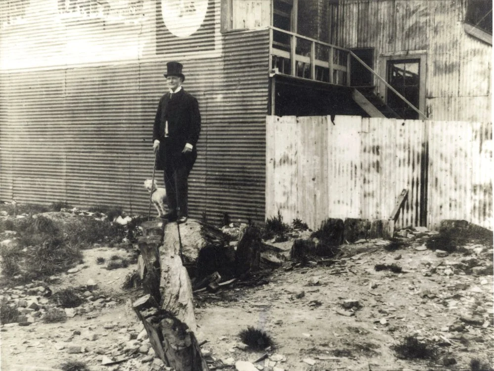 John Plimmer | Record | DigitalNZ