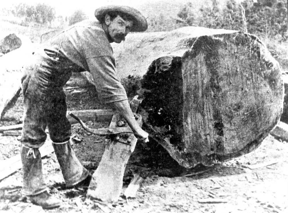 Timber jack | Record | DigitalNZ