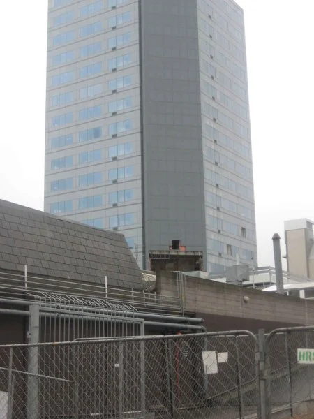 Rear view of Forsyth Building | Record | DigitalNZ