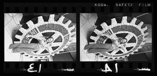 Rotary International symbol depicted in flowers | Record | DigitalNZ