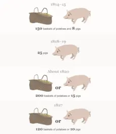 Topic Explorer - The Musket Wars 1818 - 1830s | Services to Schools
