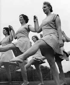 Topic Explorer - Springbok Tour 1981 | Services to Schools